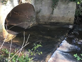 Storm Drain Contaminations - ACE Environmental